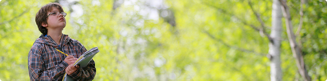 Curriculum Overview - Curriculum - CBE